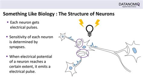 Illustrative Introductory Neural Networks Pptx