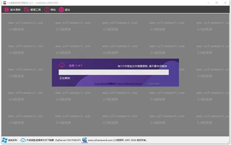 Csframeworkv6快速开发框架 Sqlservermssql数据库测试报告cs开发框架cs框架网