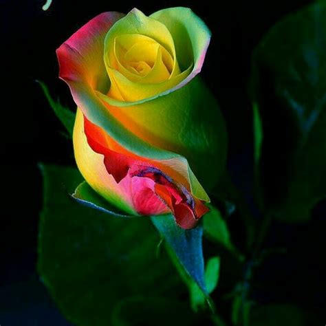 soham bobade youtube