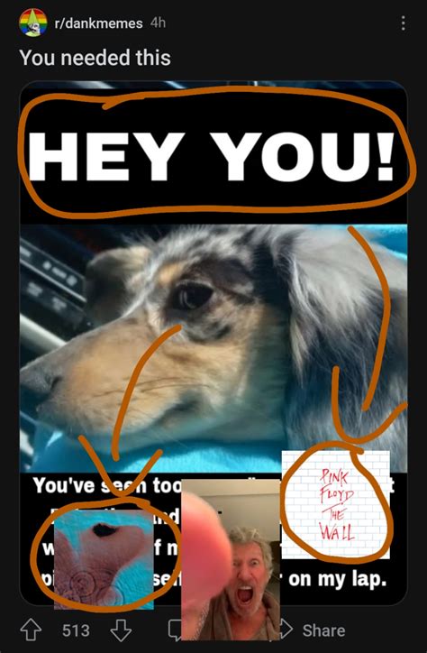 Double Reference Rpinkfloydcirclejerk