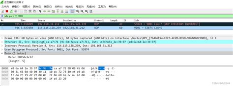 python socket python udp测试端口 CSDN博客