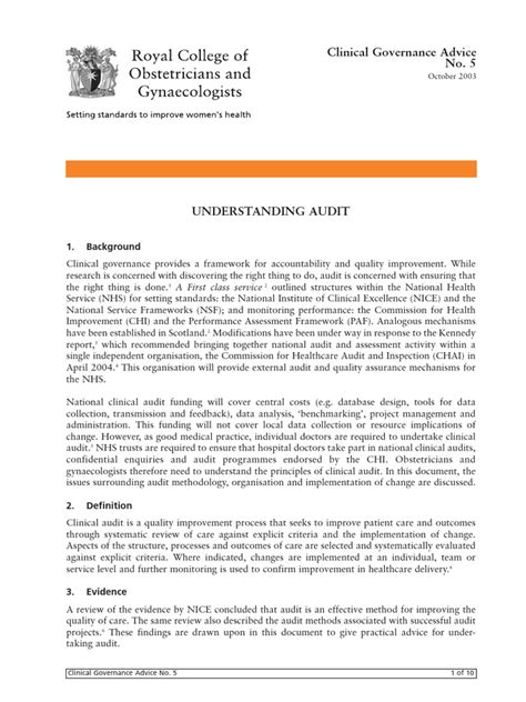 Understanding Audit Pdf Statistics Audit