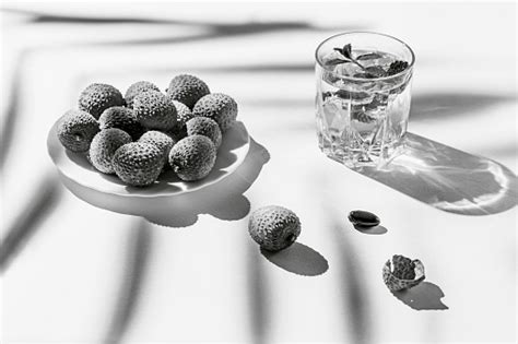 야자수 잎 그림자가 있는 흰색 배경에 레모네이드와 열매 과일이 있는 유리로 만든 창의적인 정물 구성 여름 다과 개념입니다 흑백 0명에 대한 스톡 사진 및 기타 이미지