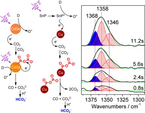 Carbon Dioxide Dimer Radical Anion As Surface Intermediate Of Photoinduced Co2 Reduction At