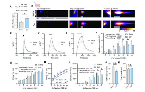 The Effect Of Ceftriaxone On Glutamate Dynamics In The Cortex A Download Scientific