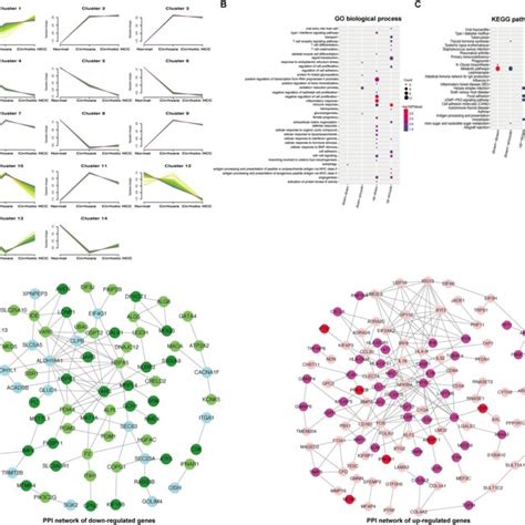 mfuzz clustering and ppi network construction analysis for all download scientific diagram