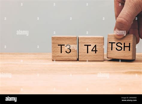 Tsh Diagnosis Of Thyroid Diseases Medical Examination Of T3 And T4 Production And Secretion