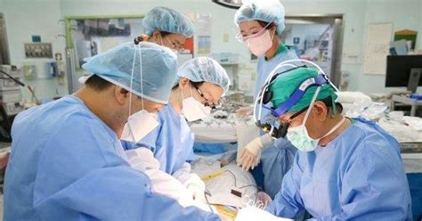 서울아산병원 간이식 30년간 8000건 달성 ‘새 역사