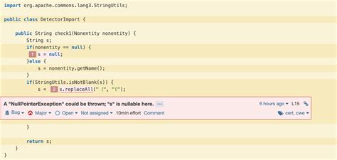 Commons Lang Stringutils Isnotblank Method Still Raise Npe Report
