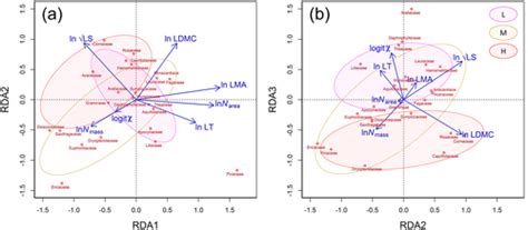 Leaf Trait Covariation And Its Controls A Quantitative Data Analysis Along A Subtropical