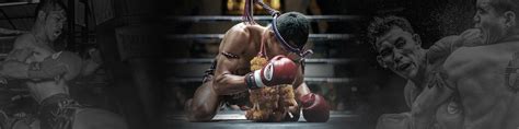 TWINS Boxhandschuhe Muay Thai Ausrüstung günstig kaufen - Twins Shop ...