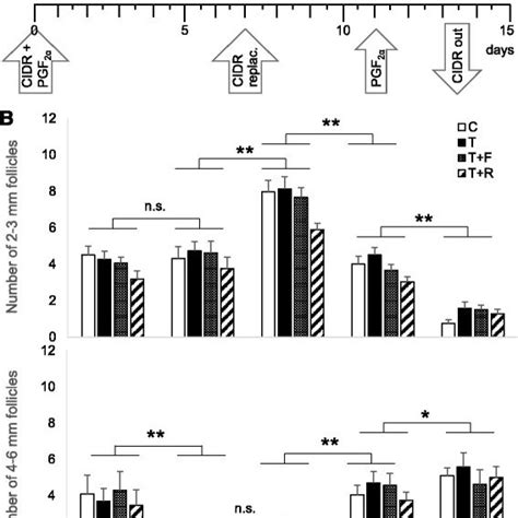 Scheme Depicting Synchronization And Controlled Ovarian Stimulation