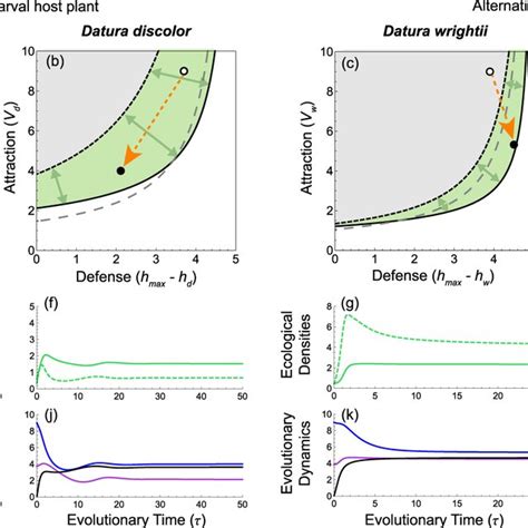Coevolutionary Transitions In More Generalized Trophic Download