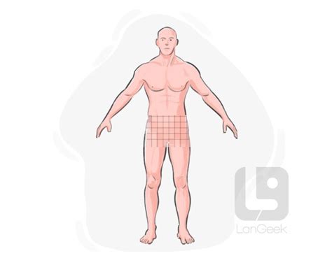 Definition Meaning Of Naked As A Jaybird Langeek