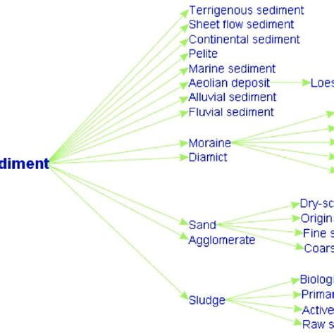 Tree Mode For Sediment Download Scientific Diagram