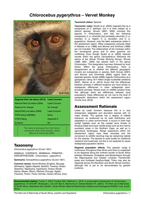 Pdf A Conservation Assessment Of Chlorocebus Pygerythrus