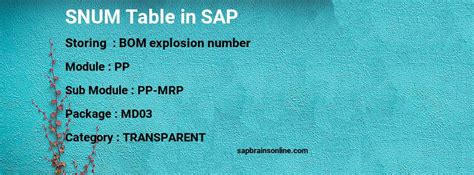 SNUM SAP Table For BOM Explosion Number