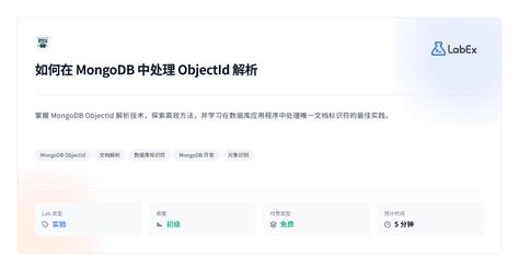 如何在 Mongodb 中处理 Objectid 解析 Labex