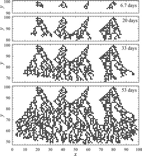 Spatiotemporal Evolution Of Capillary Network The Figure Shows The Download Scientific Diagram