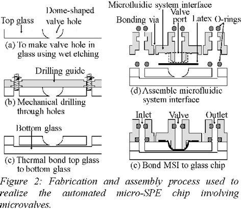 Figure 1 From A Fully Automated Micro Solid Phase Extraction Chip For Genetic Sample Preparation
