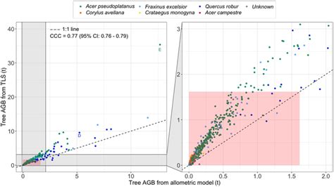 Individual Tree Agb For Wytham Woods Direct Tls‐derived Estimates Download Scientific Diagram