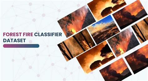 Forest Fire Classifier Dataset Aerial And Terrestrial Images