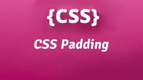 Css Padding