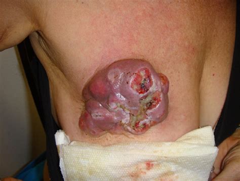 倪海厦人纪系列