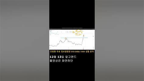 알고랜드 코인 와 이걸 끝까지 ㄷㄷㄷㄷ 최근 초대형 상승은 애기급에 불과 Youtube