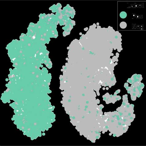 T Sne Plots Of The Learned Sentence Embeddings Using Superloss And The