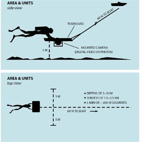 Side View Of The Stationary Point Count Method Dive Partners Count And Download Scientific