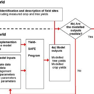 Outline Of The Modelling Process Download Scientific Diagram