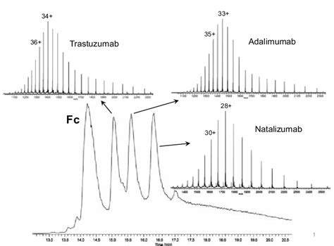 An Example Of A Middle Up Approach Application To Mab Analysis The