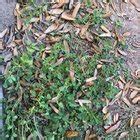 Does The NTTA Tag Even Need To Be Put On Your Car R Austin