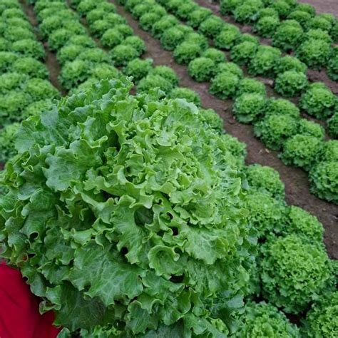 🎯 Знаеш ли защо фугата от 1 мм може да съсипе цялата ти баня 📝 В този епизод на Строителство и