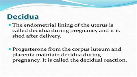 Embriology And Development Embryo Cell Process Ppt