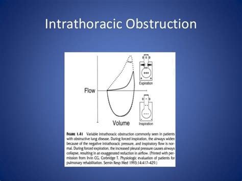 14 Pulmonary Function Tests