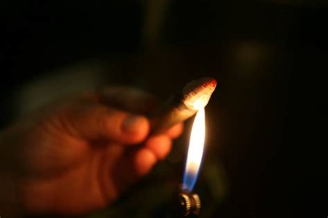 What Is Moxa And What Is It Used To Treat RiverWest Acupuncture