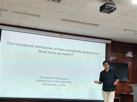 The Functional Intricacies Of Low Complexity Sequences What Have We