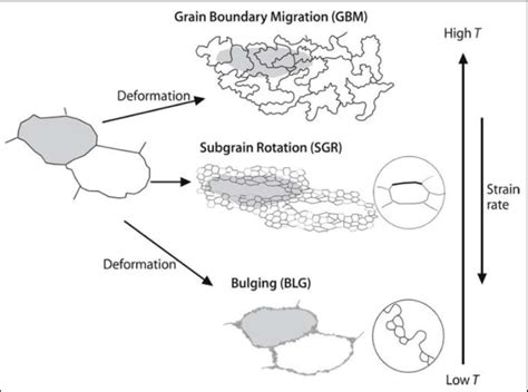 4 Three Processes Of Dynamic Recrystallization At Different Download Scientific Diagram
