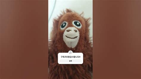 축하영상🥳 Youtube