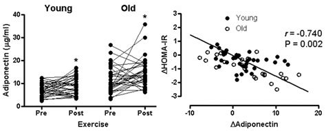 Effect Of Exercise On Adiponectin Concentration And Relationship With Download Scientific