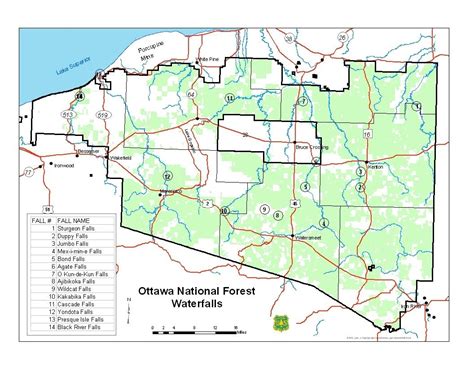 National Forest Forest Service Forest