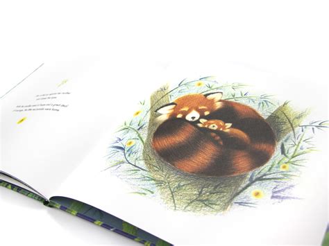 Pip And The Bamboo Path Nobrow Press