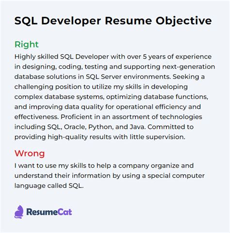 Top 17 SQL Developer Resume Objective Examples ResumeCat