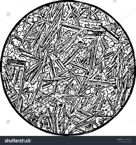 Basalt Showing Typical Diabasic Structure Lathshaped Stock Vector