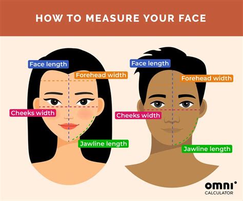 Face Shape Calculator — What Shape Is Mine Face Shapes Face Shapes