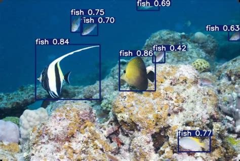 Using Computer Vision For Underwater Detection