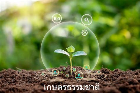 เกษตรไทย หัวใจเงินล้าน 🌱🌿ใครปลูกหญ้าเลี้ยงวัว 🐴🐃🐂🐄🐑 ก็ใช้ 4tree แทนการใช้ปุ๋ยได้นะคะ หญ้างาม