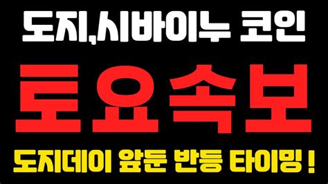 도지코인시바이누코인 토요속보 도지데이반감기 앞둔 반등 타이밍 불독코인비트코인리플이더리움도지코인코인단타 Youtube